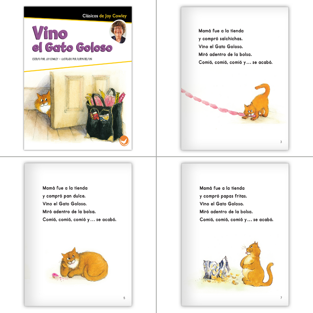 Spanish Level G Set (6-Packs) - Hameray Publishing