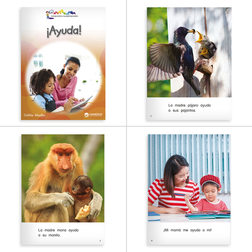 Spanish Level B Set (6-Packs) - Hameray Publishing