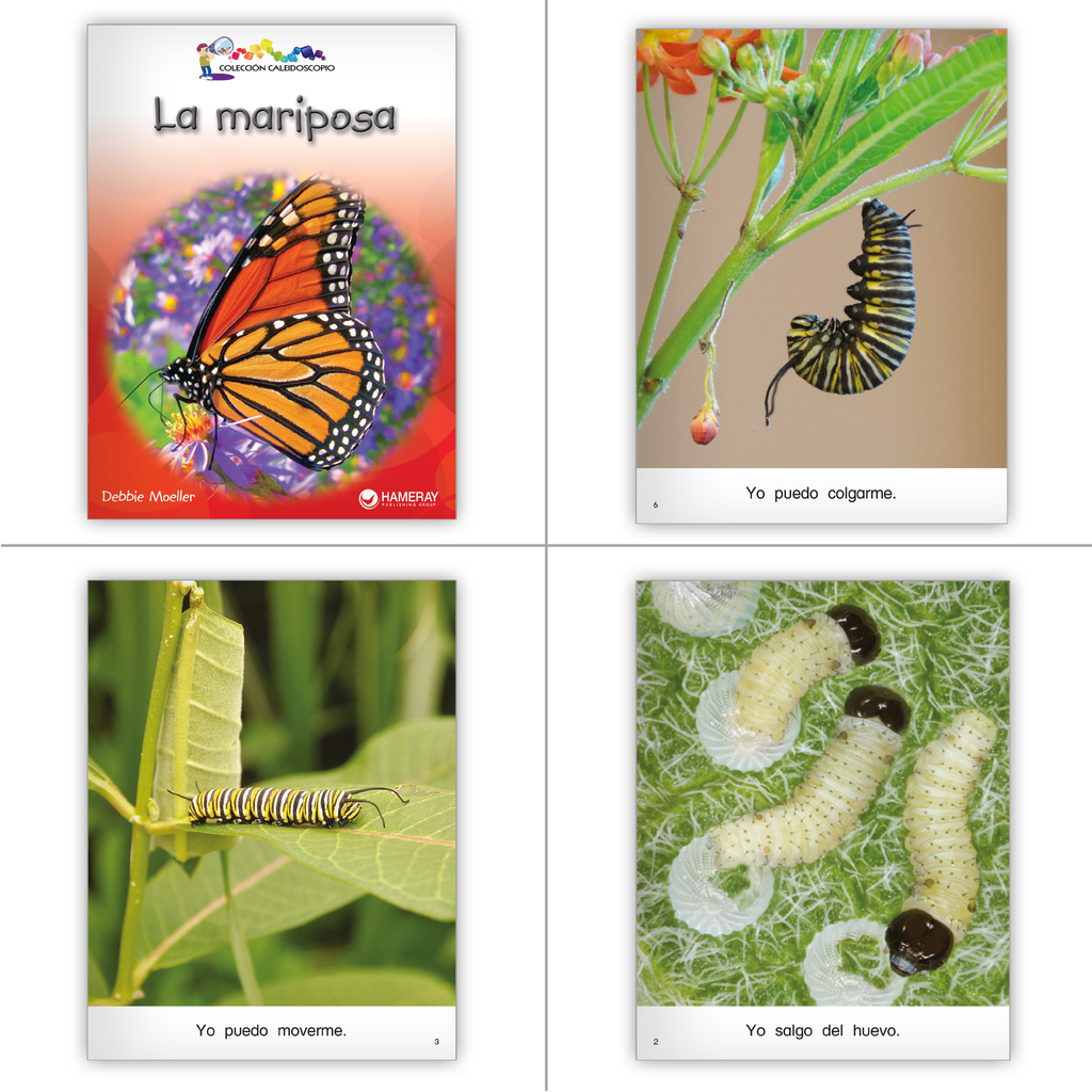 Spanish K-2 Nonfiction Classroom Library - Hameray Publishing