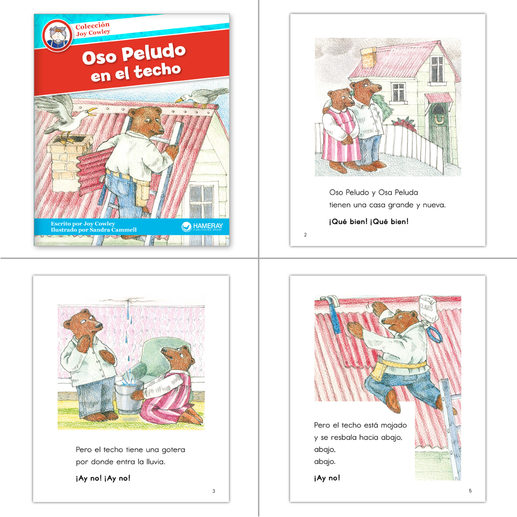 Spanish Level F Set (6-Packs) - Hameray Publishing