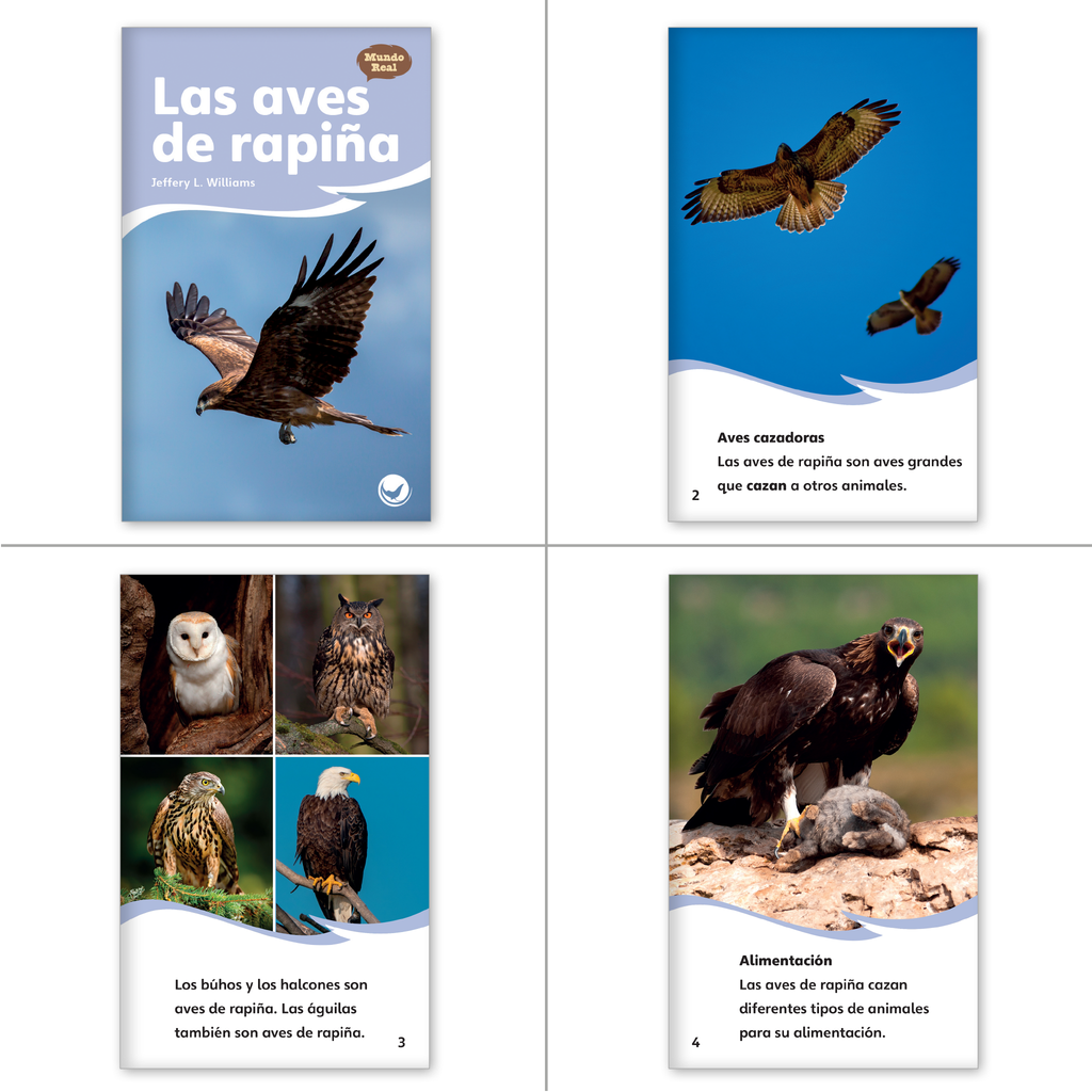 Spanish 1st Grade Nonfiction Classroom Library (6-Packs) - Hameray ...