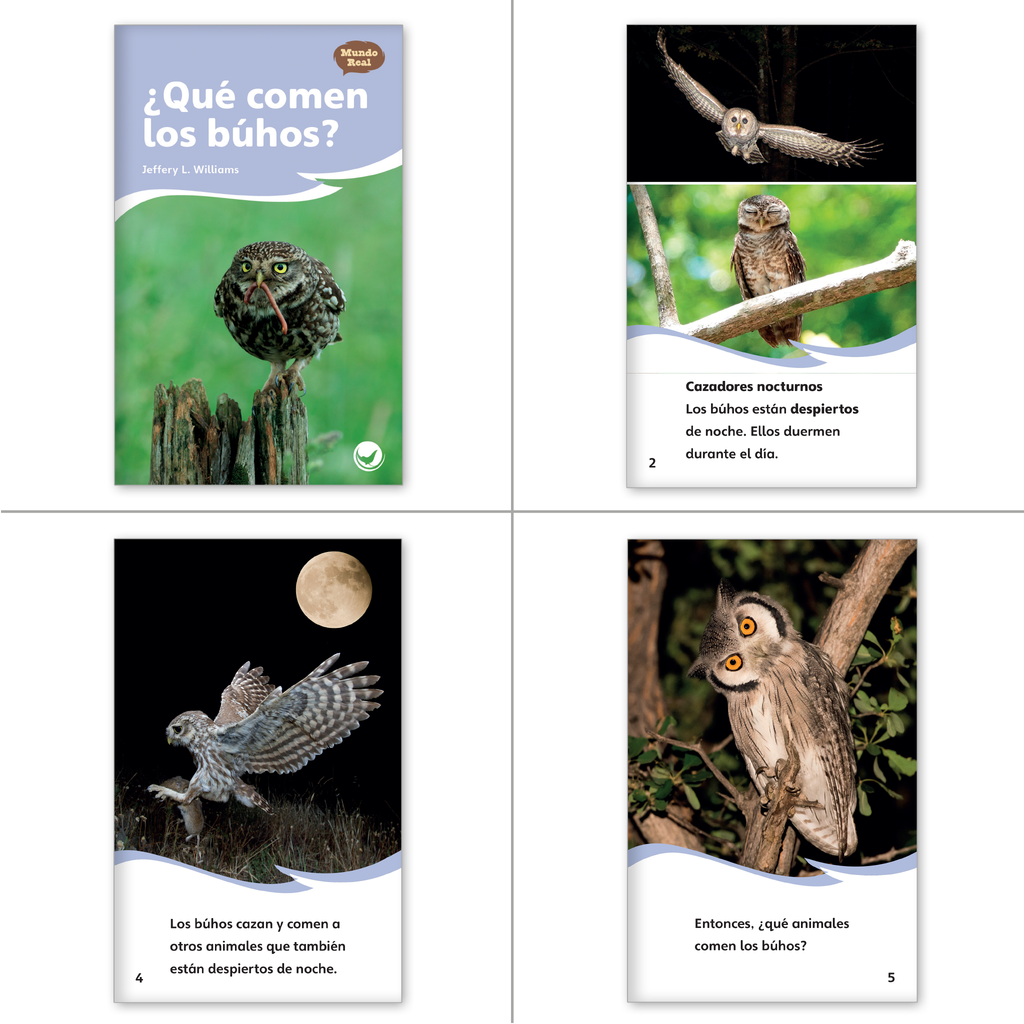 Spanish Animals Kindergarten Theme Set (6-Packs) - Hameray Publishing