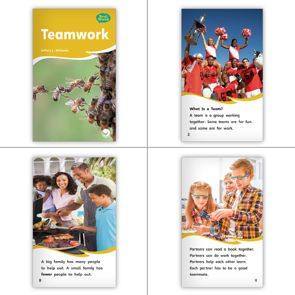 SEL 1st Grade Theme Set (6-Packs) - Hameray Publishing