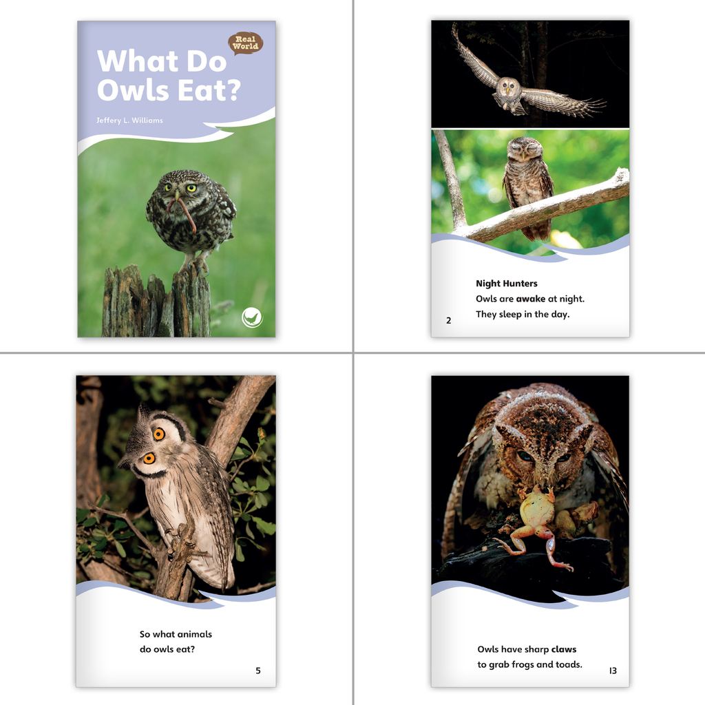 Level E Set (6-Packs) - Hameray Publishing