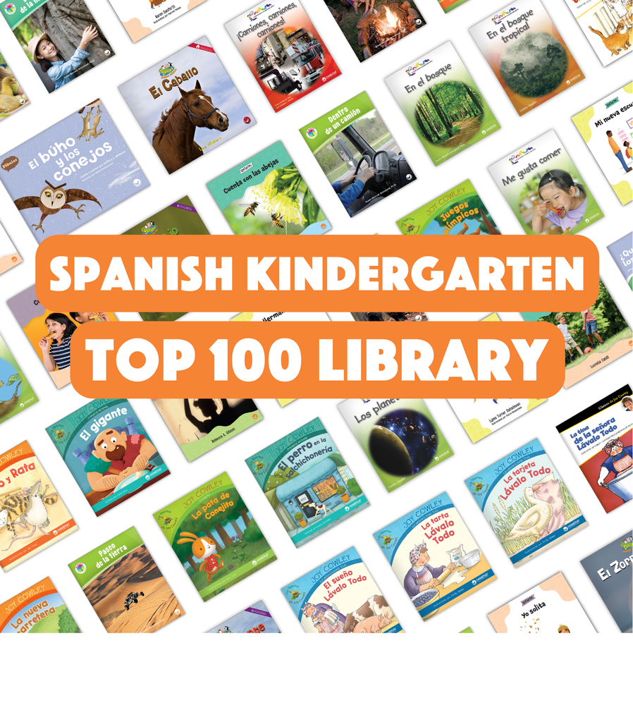 Spanish Kindergarten Top 100 Library - Hameray Publishing
