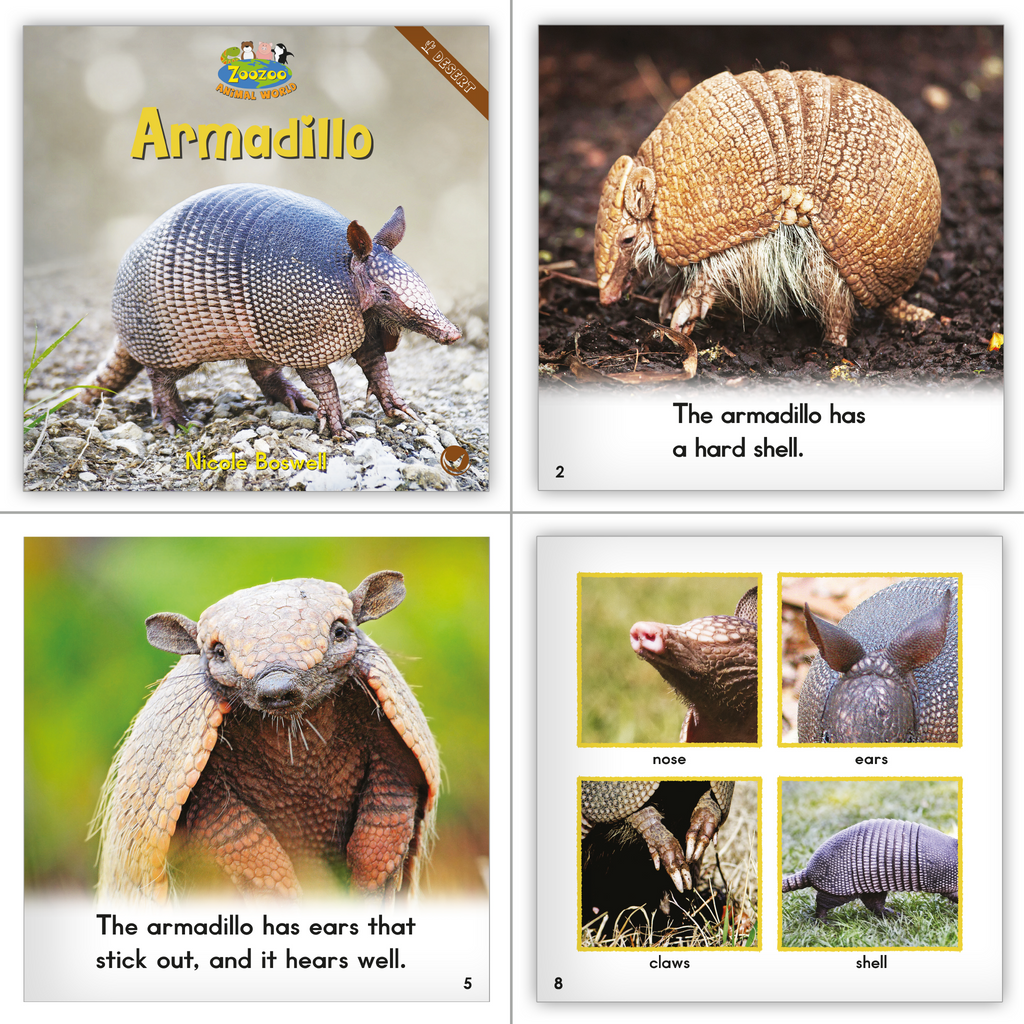 Zoozoo Animal World Big Book Set - Hameray Publishing