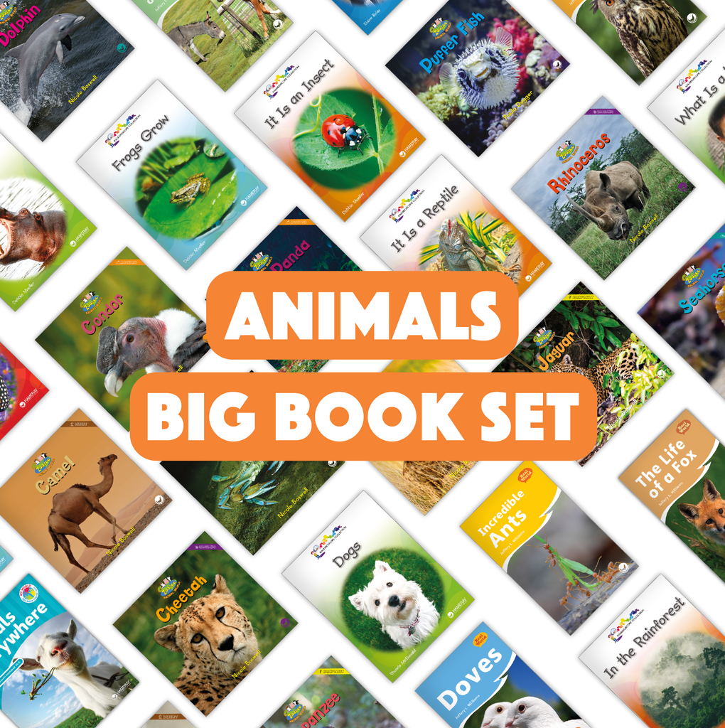 Animals Big Book Set - Hameray Publishing