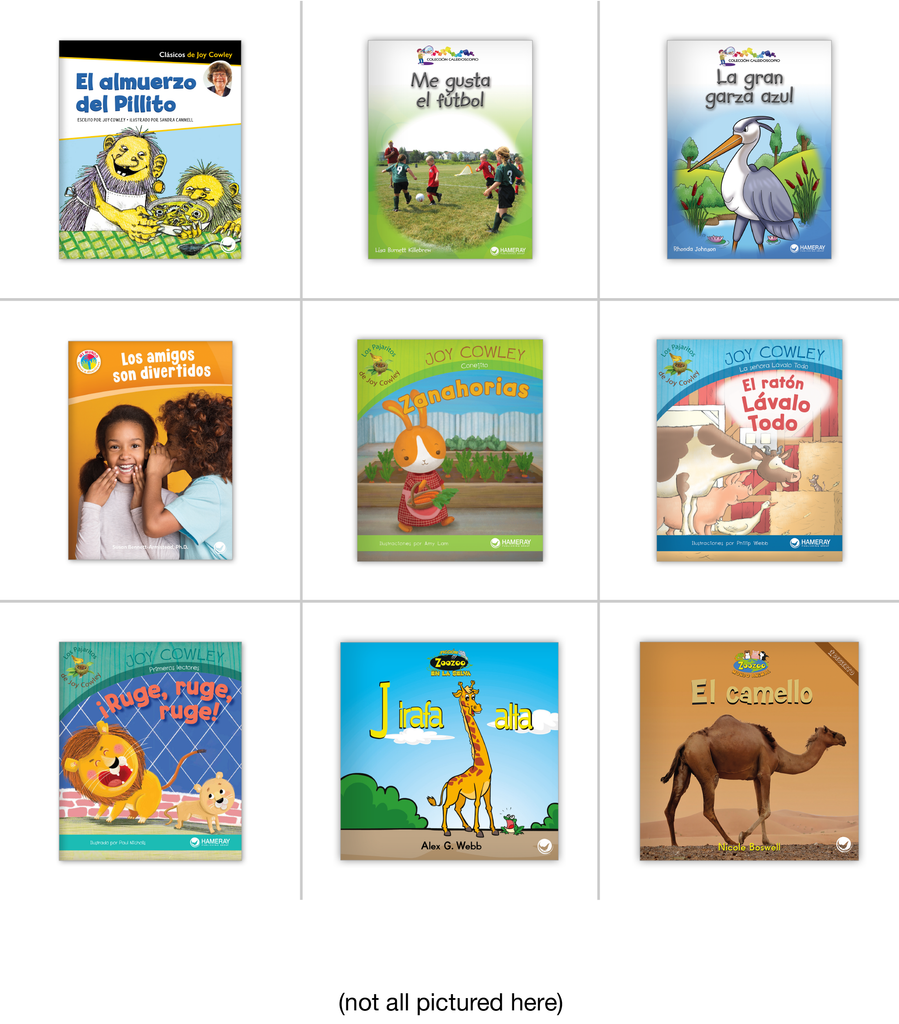 Spanish Level D Set - Hameray Publishing