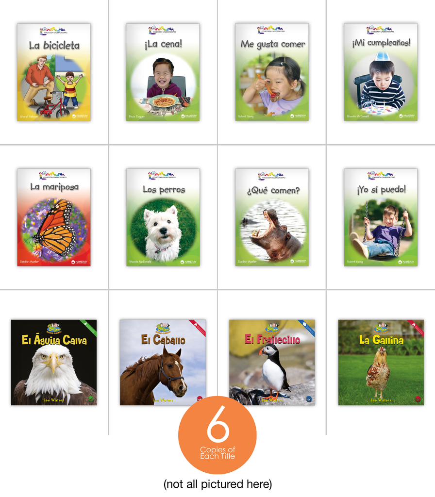 Spanish Level A Guided Reading Set - Hameray Publishing