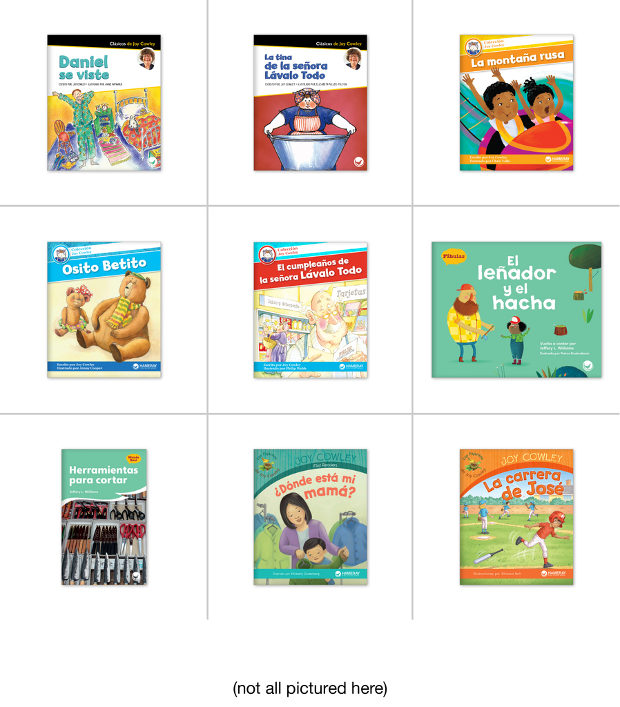 2022 K-2 Spanish Add-On Set - Hameray Publishing