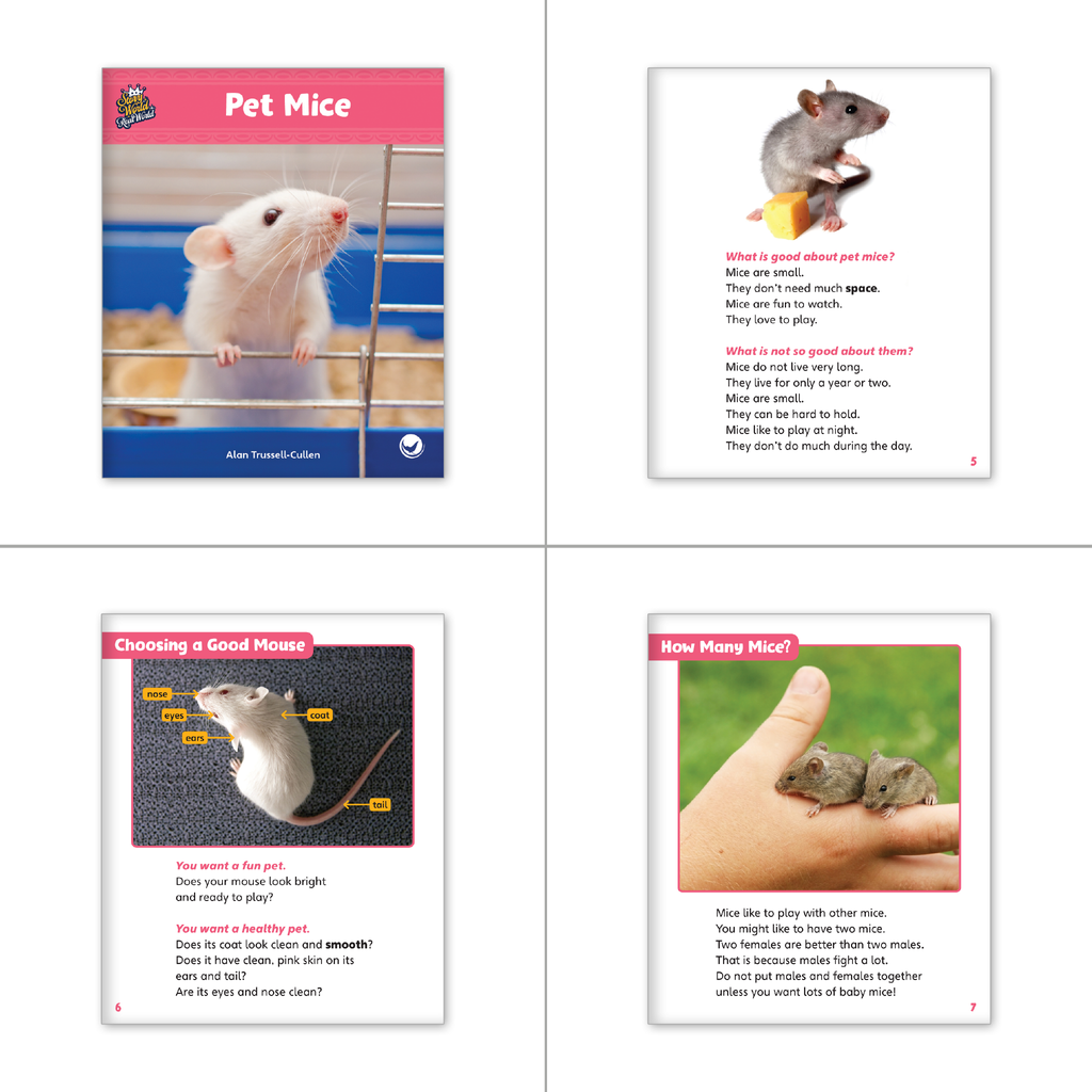 The Lion and the Mouse Theme Set (6-Packs) - Hameray Publishing