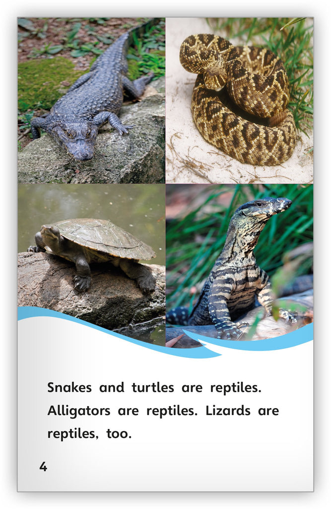 All About Lizards - Fables & the Real World - Hameray Publishing