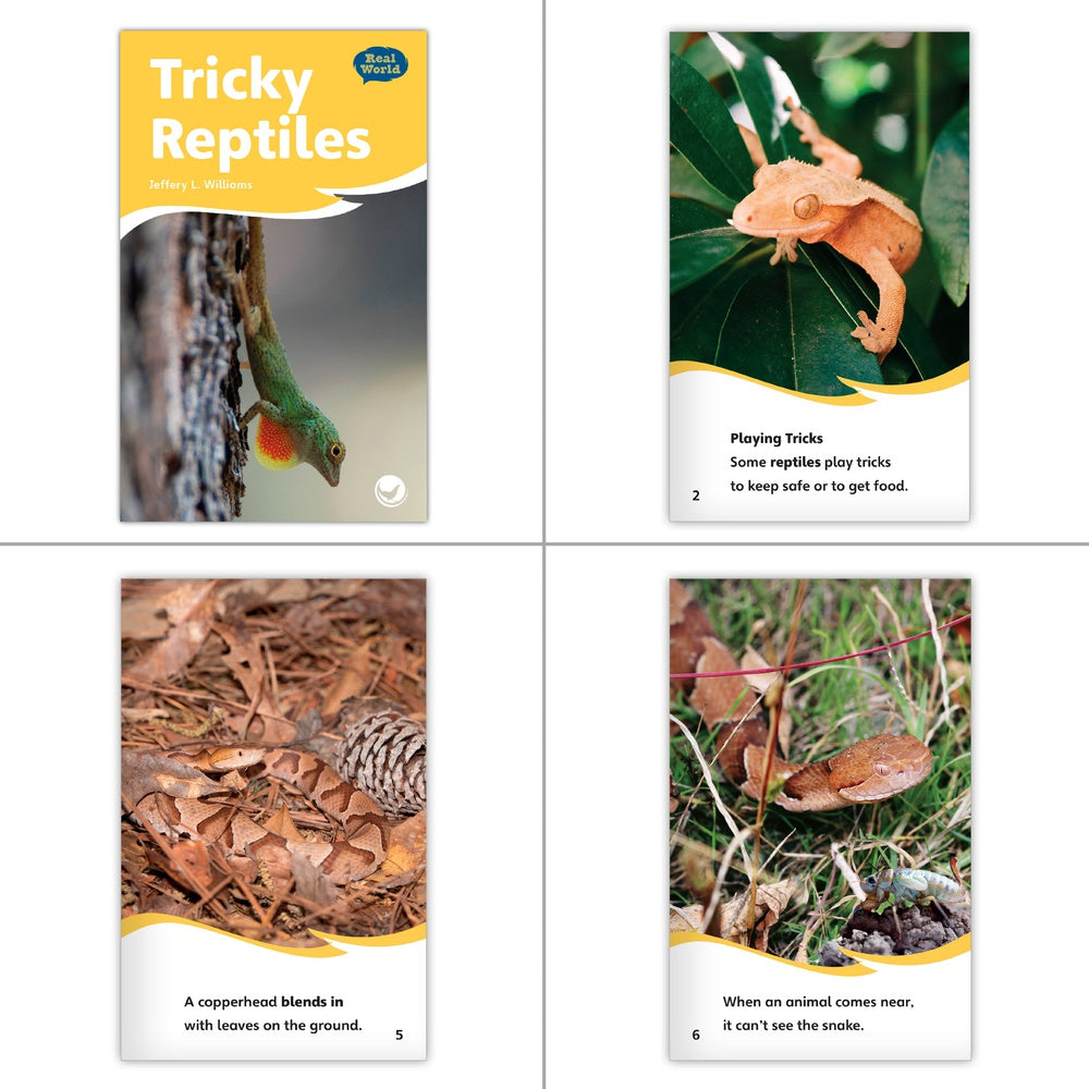 Amphibians & Reptiles Theme Set (6-Packs) - Hameray Publishing