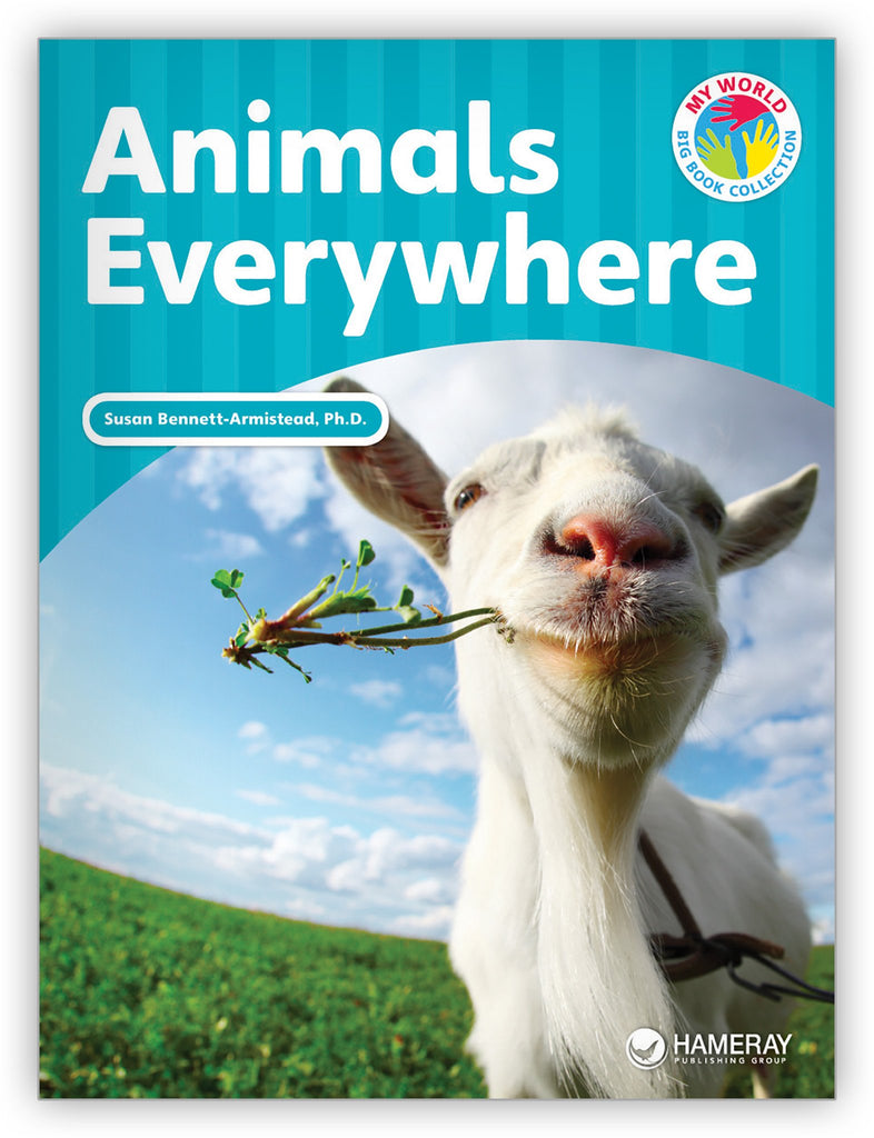 Animals Everywhere Big Book - My World - Hameray Publishing