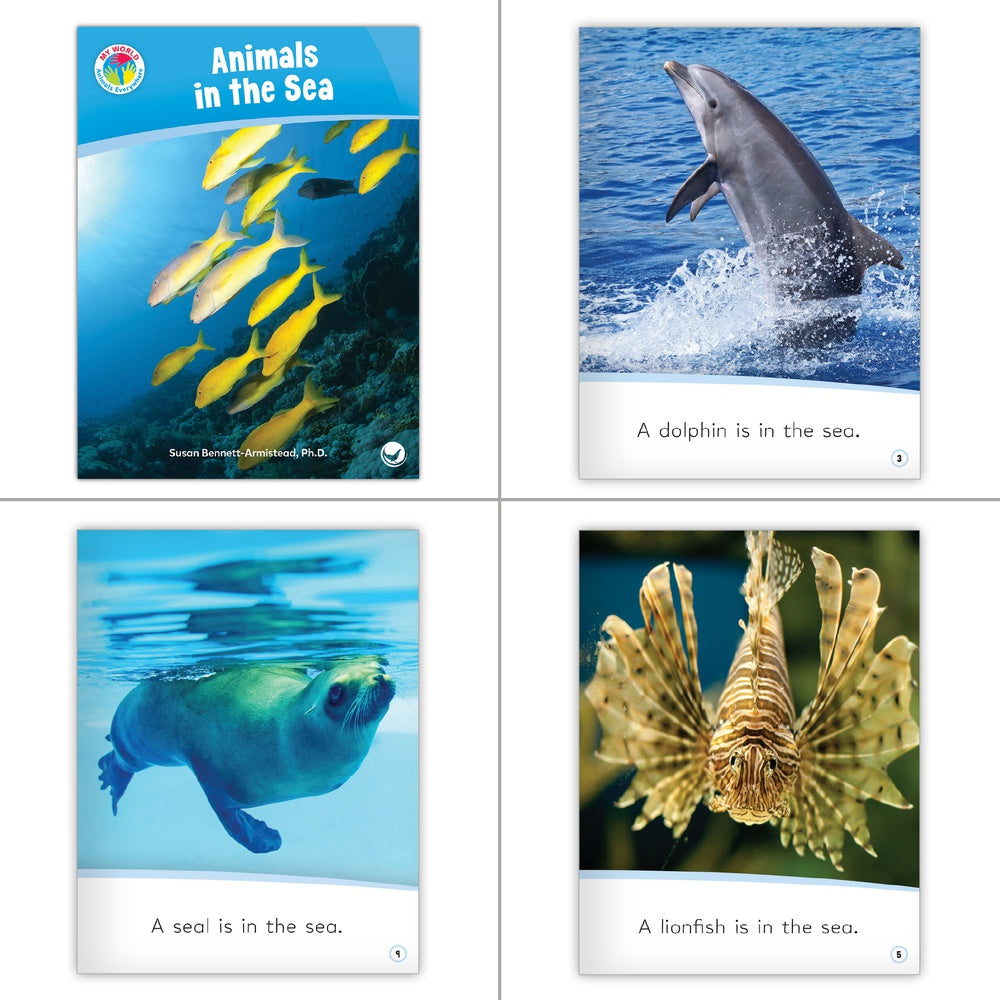 Aquatic Animals Theme Set (6-Packs) - Hameray Publishing