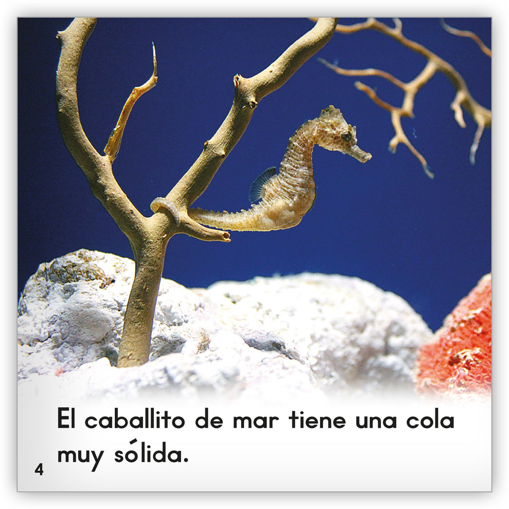 El caballito de mar - Zoozoo Mundo Animal - Hameray Publishing