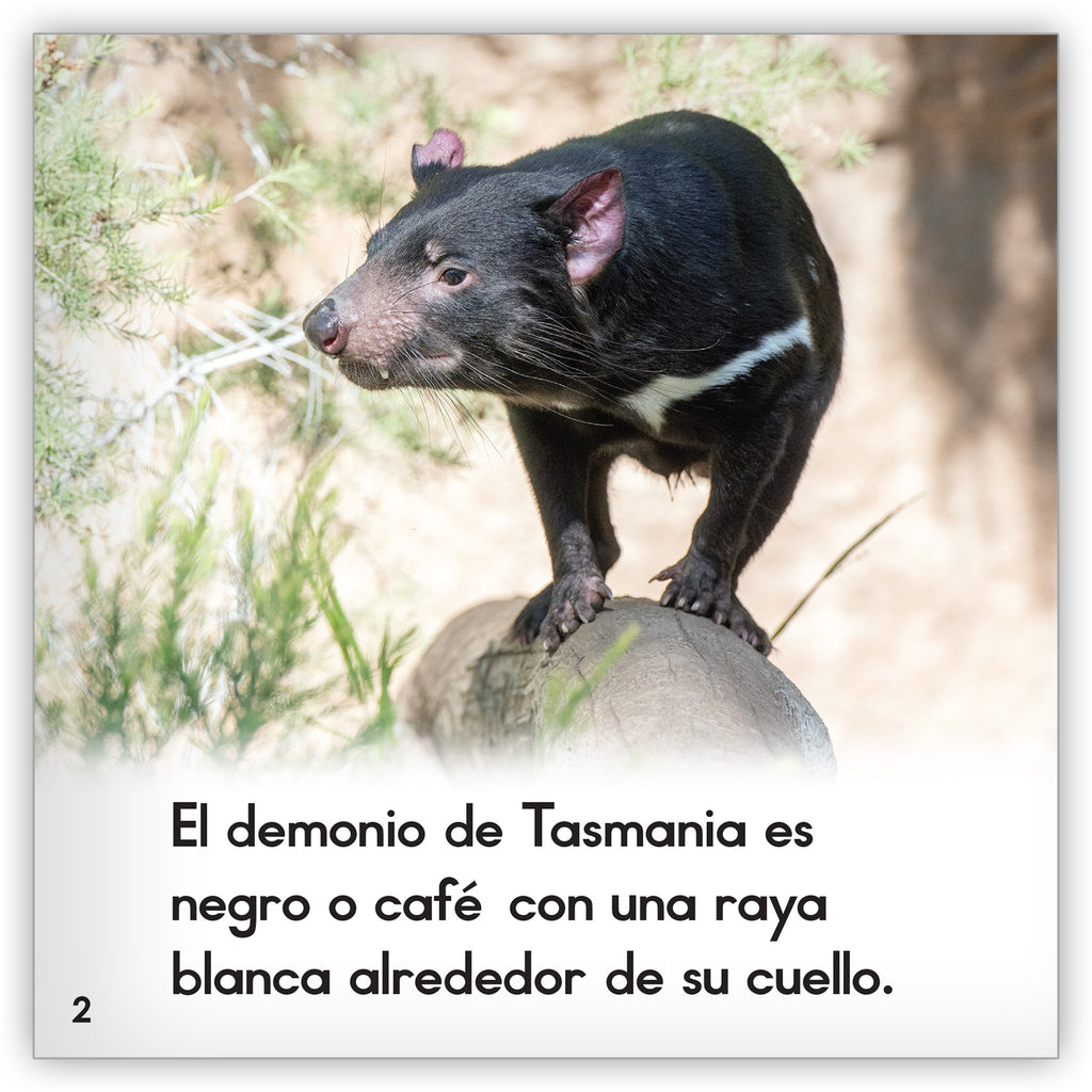 El demonio de Tasmania - Zoozoo Mundo Animal - Hameray Publishing