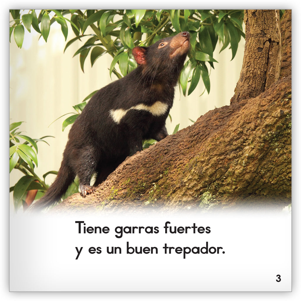 El demonio de Tasmania - Zoozoo Mundo Animal - Hameray Publishing