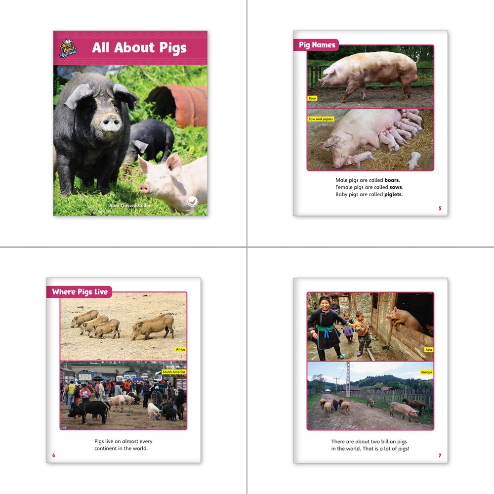 Farm Animals Theme Set (6-Packs) - Hameray Publishing