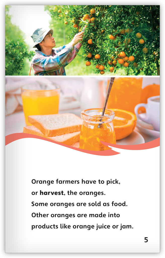 Farmers - Fables & the Real World - Hameray Publishing