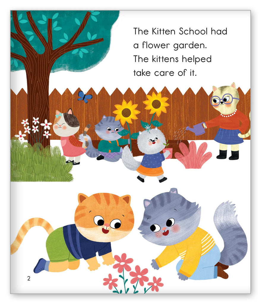 Kitten Garden - Joy Cowley Classics - Hameray Publishing