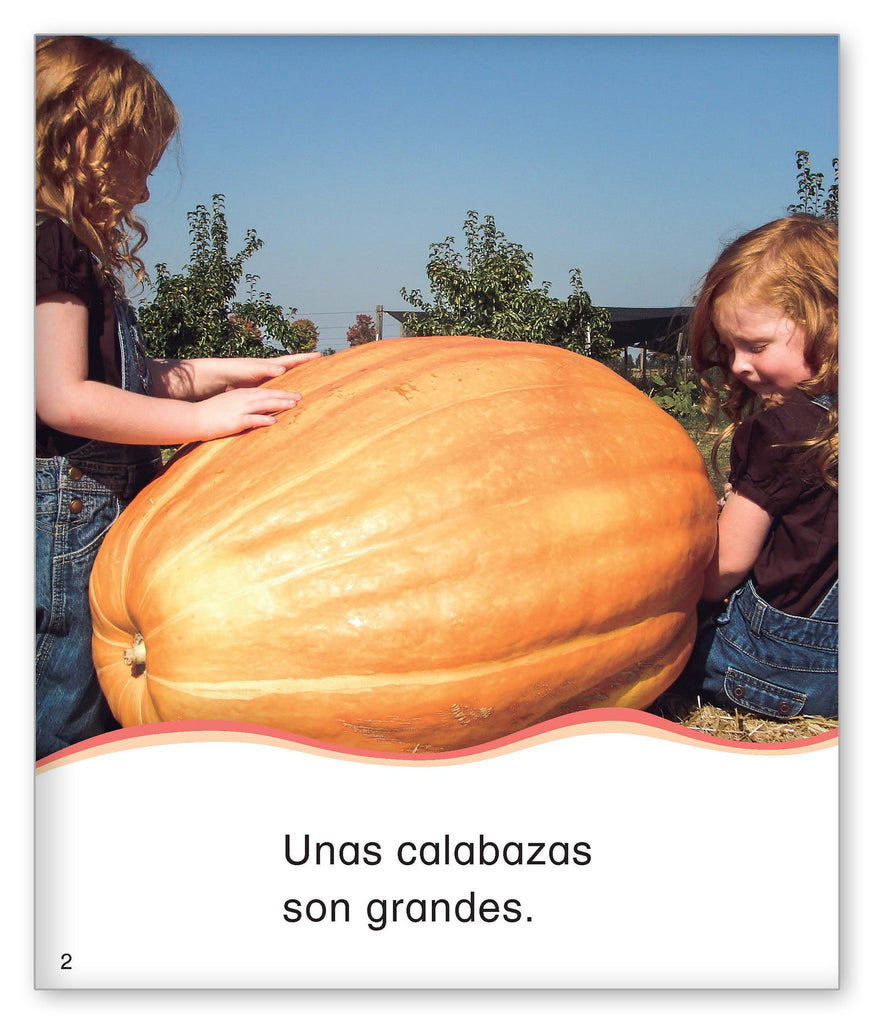 Las calabazas - Lecturitas - Hameray Publishing