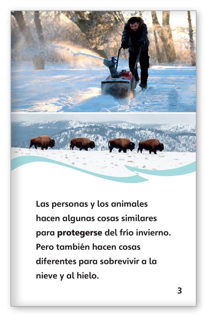 Las personas y los animales durante el invierno - Fábulas y el Mundo ...