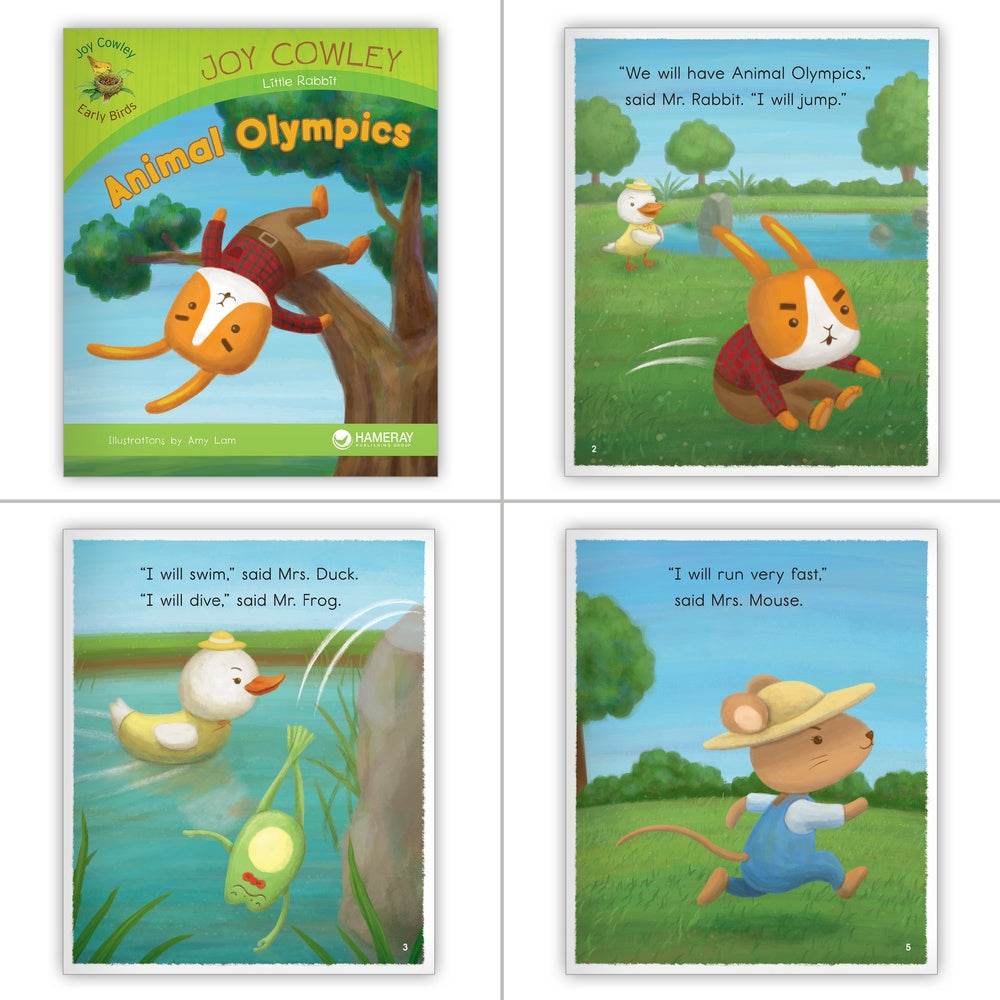Level C Set (6-Packs) - Hameray Publishing