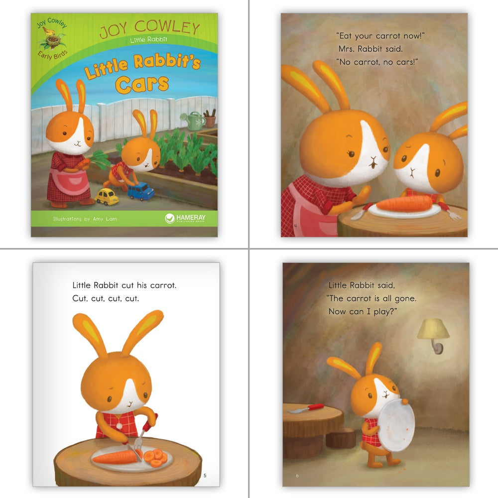 Level D Set (6-Packs) - Hameray Publishing