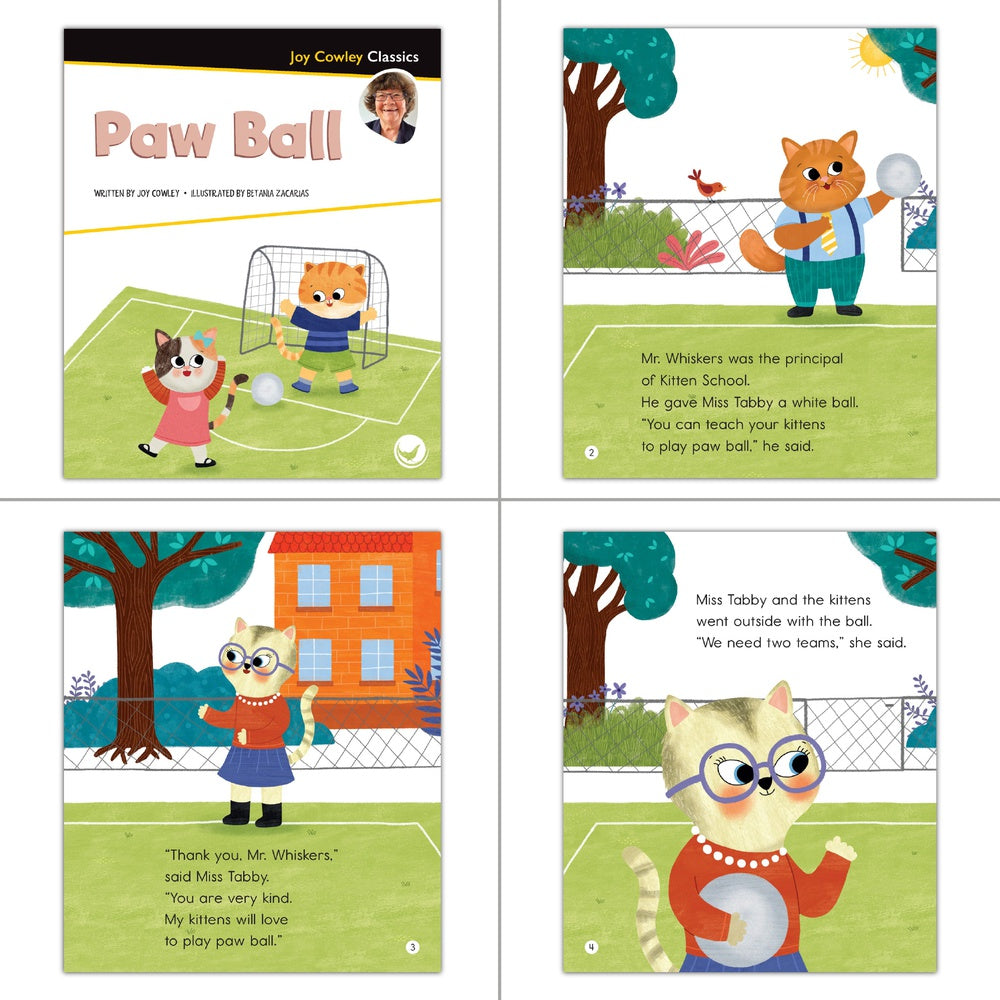 Level I Set (6-Packs) - Hameray Publishing