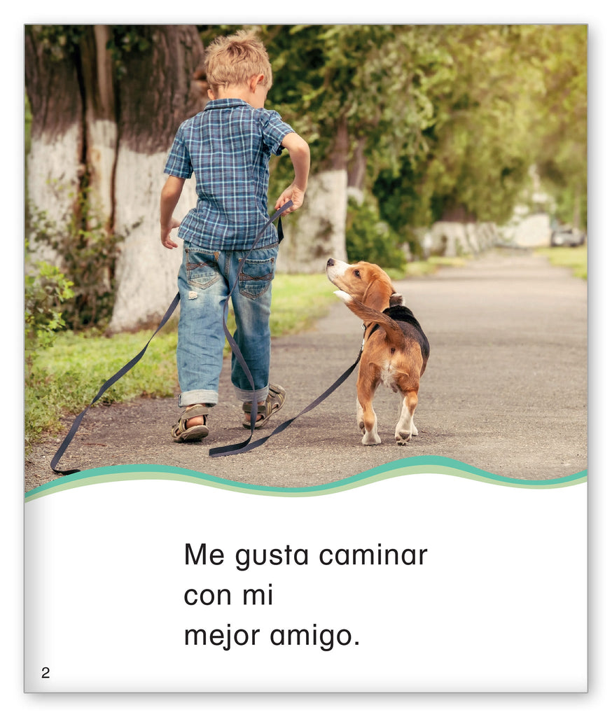 Los mejores amigos y amigas - Lecturitas - Hameray Publishing