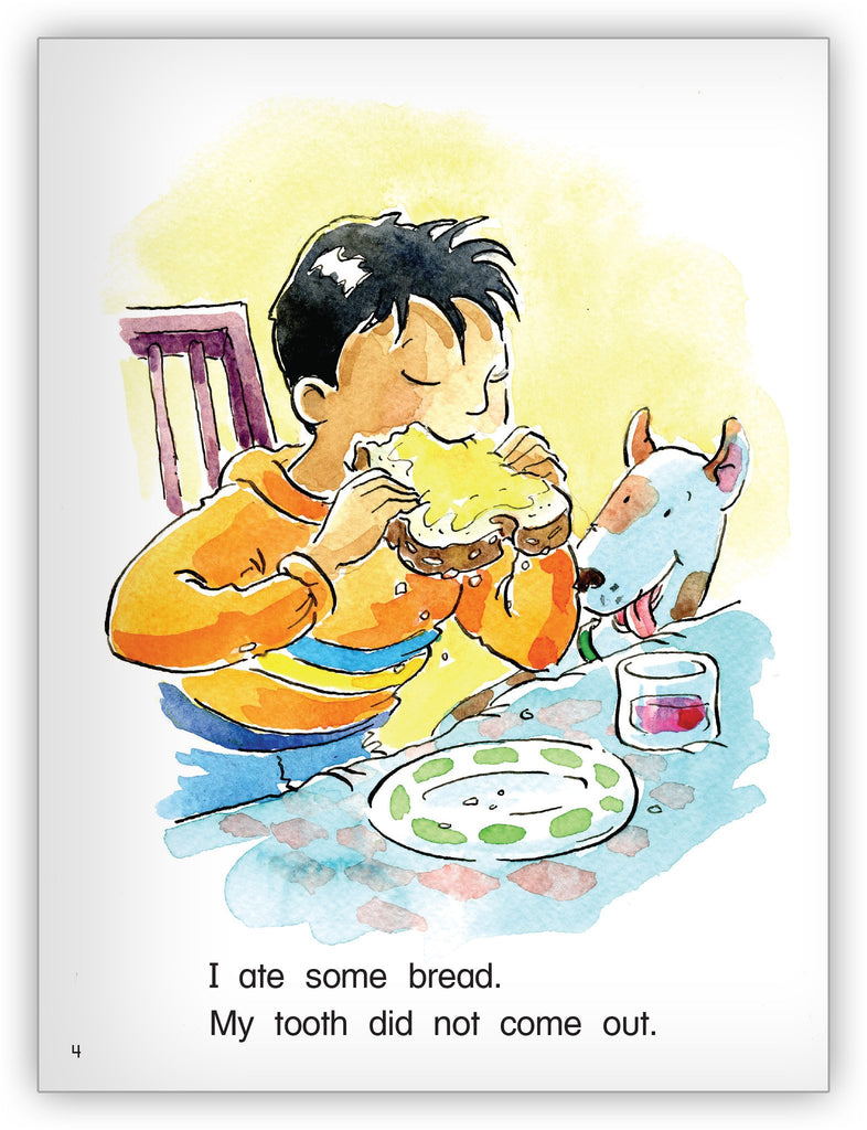 My Loose Tooth Big Book - Kaleidoscope Collection - Hameray Publishing