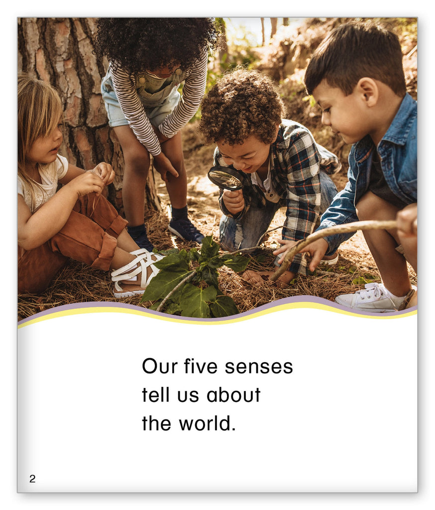 Our Five Senses - Kid Lit - Hameray Publishing