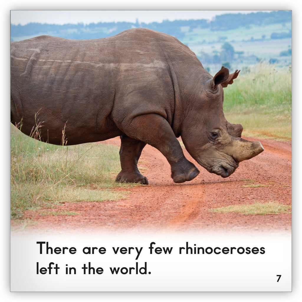 Rhinoceros Big Book - Zoozoo Animal World - Hameray Publishing