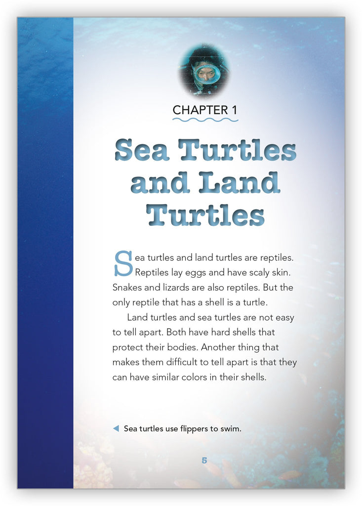 Sea Turtles - Underwater Encounters - Hameray Publishing