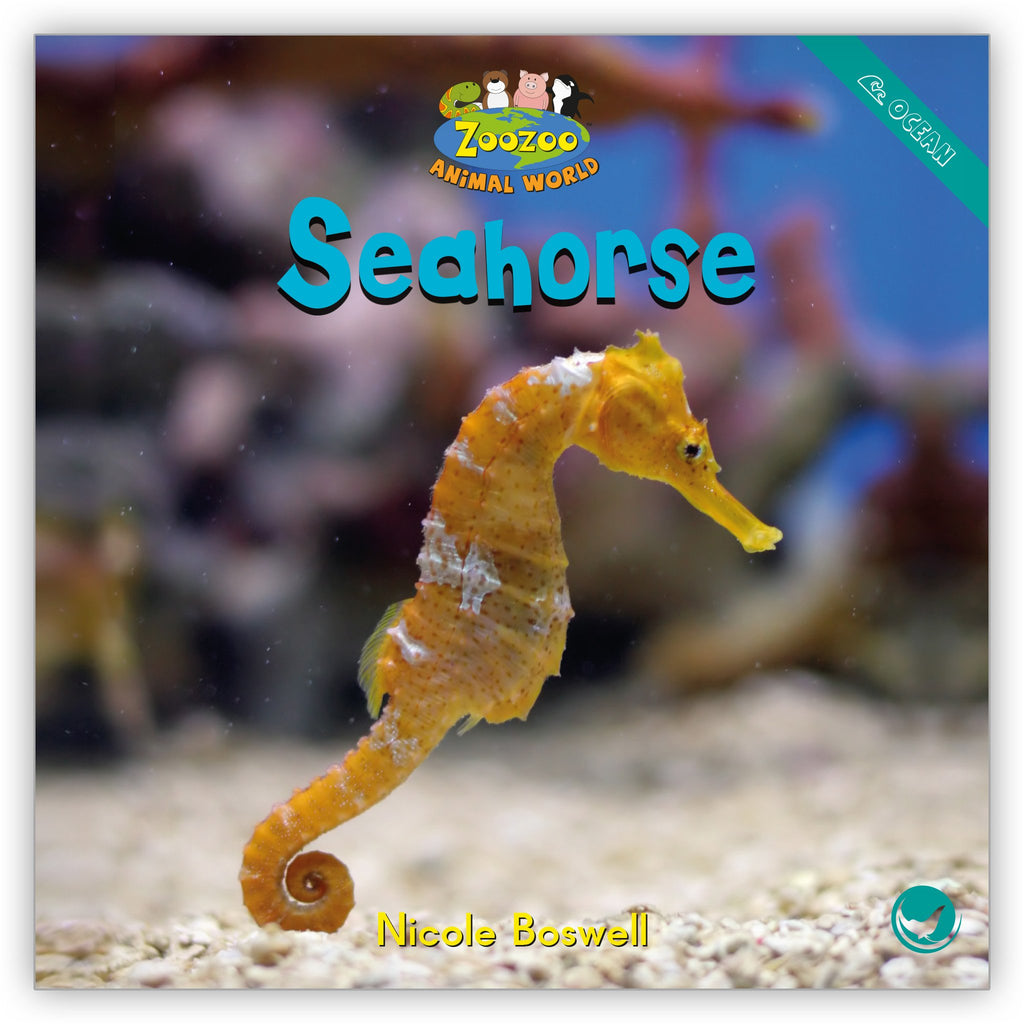 Seahorse Big Book - Zoozoo Animal World - Hameray Publishing