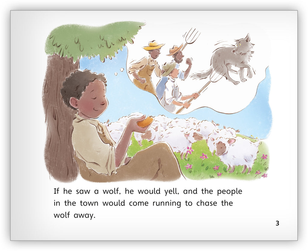 The Boy Who Cried Wolf - Fables & the Real World - Hameray Publishing