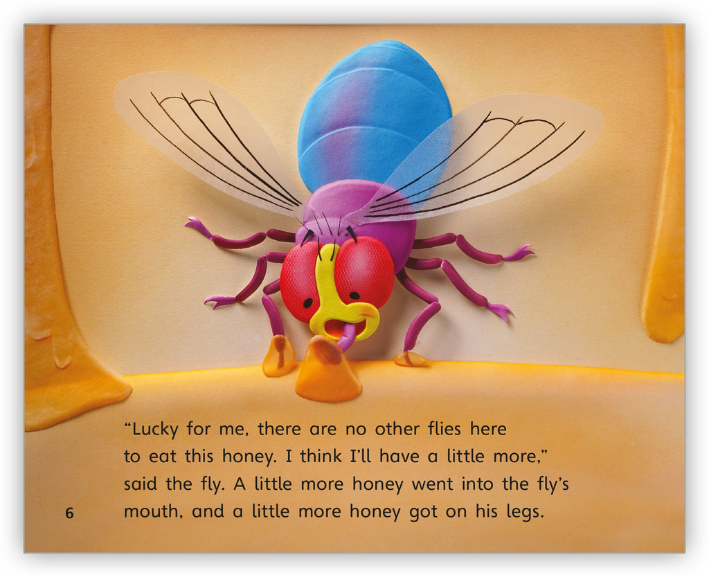 The Fly and the Honey Pot Big Book - Fables & the Real World - Hameray ...