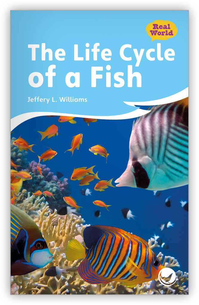 Fish Life Cycle