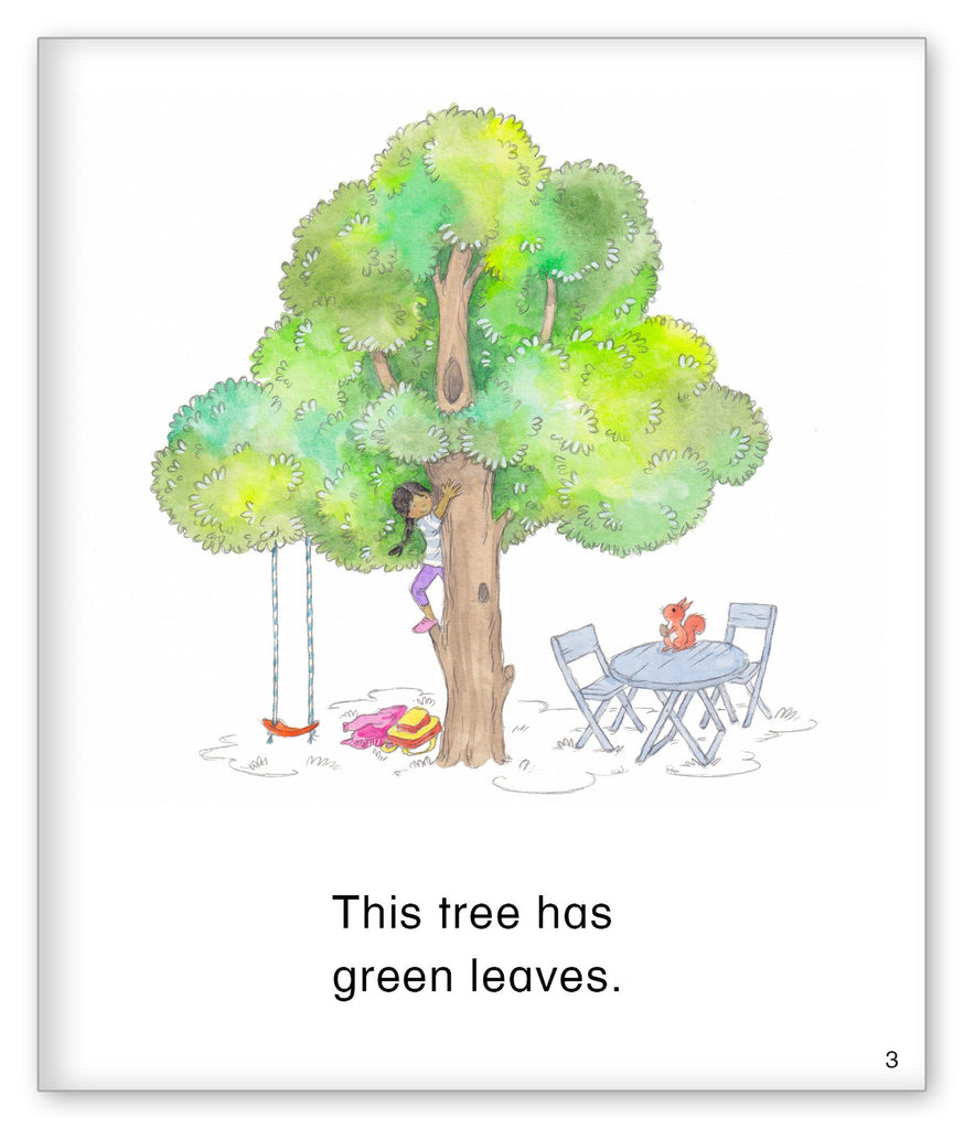 This Tree - Kid Lit - Hameray Publishing
