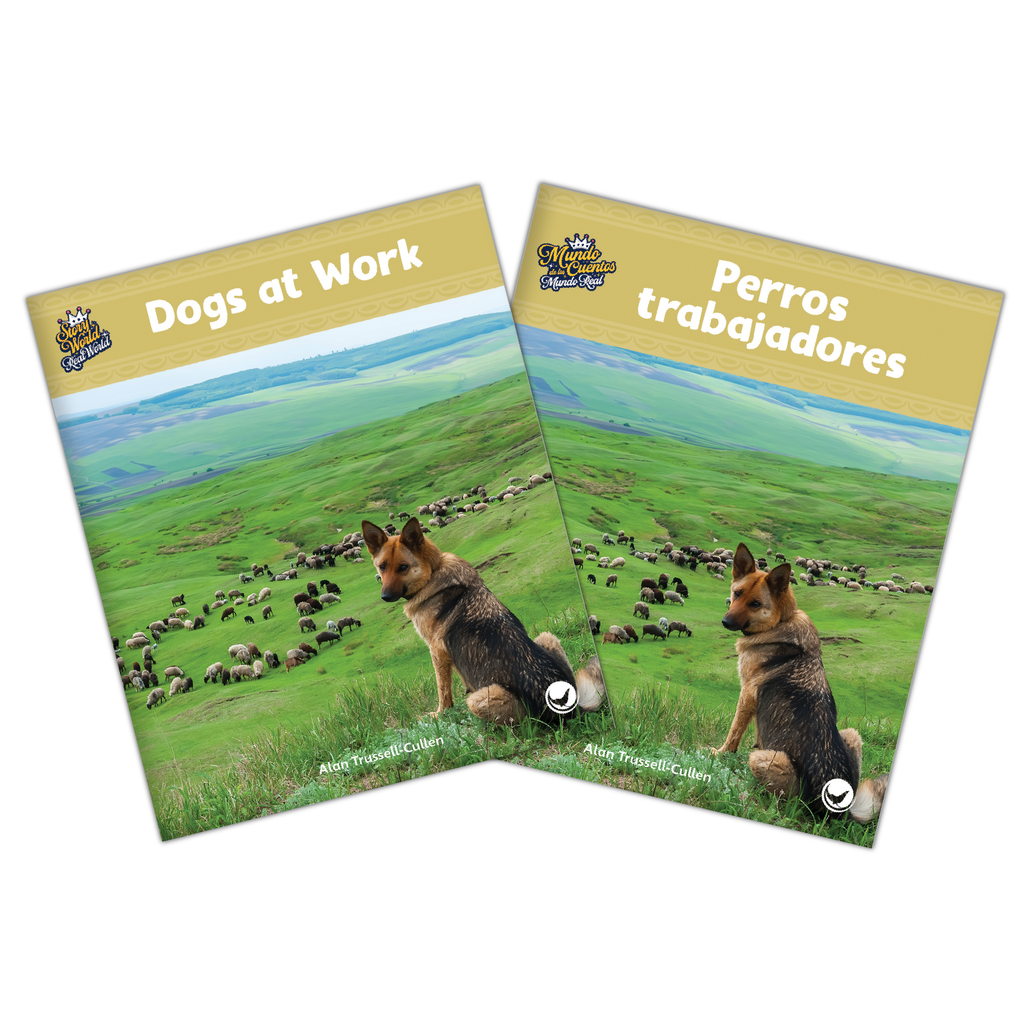 2nd Grade Dual Language Library - Hameray Publishing