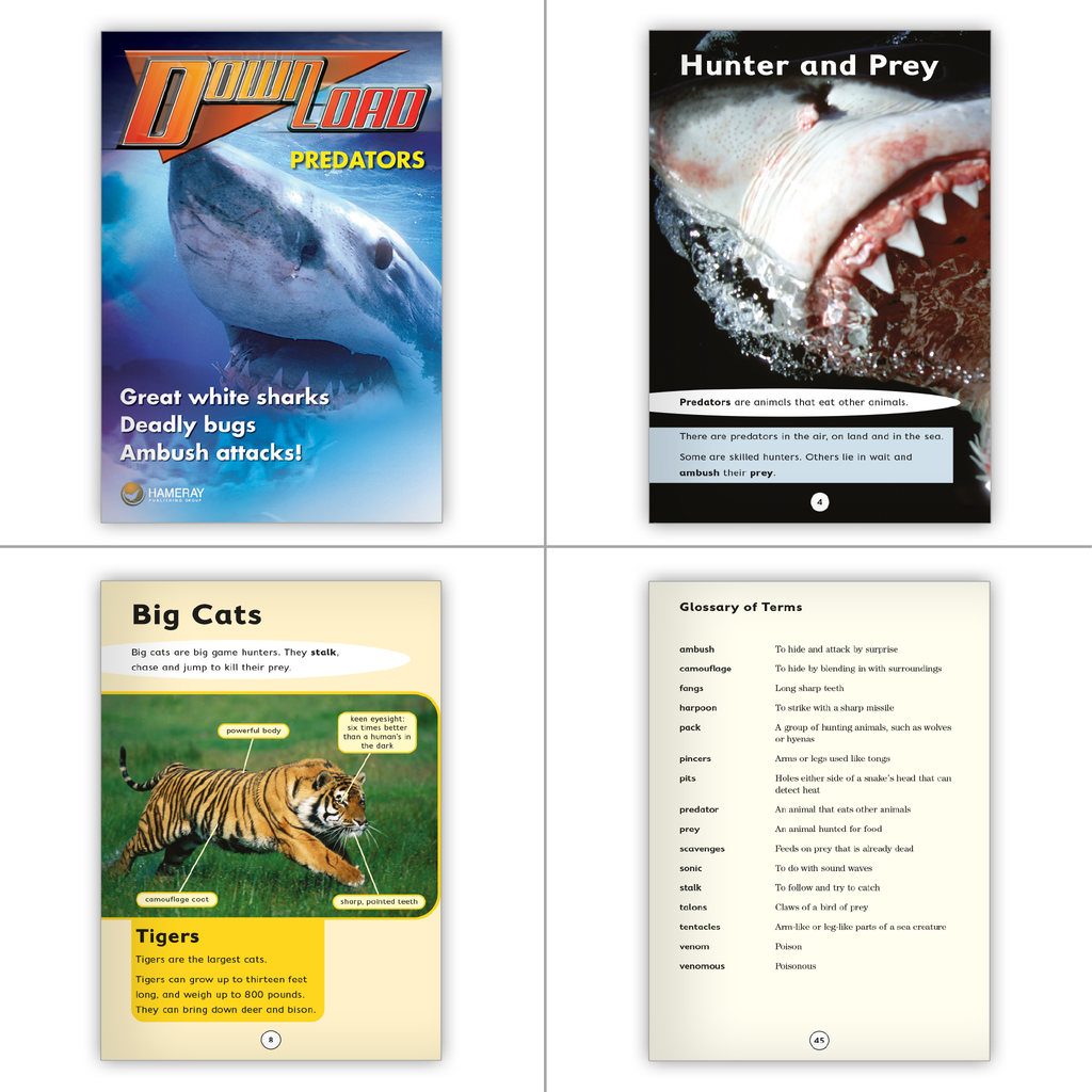 Level Q Set (6-Packs) - Hameray Publishing