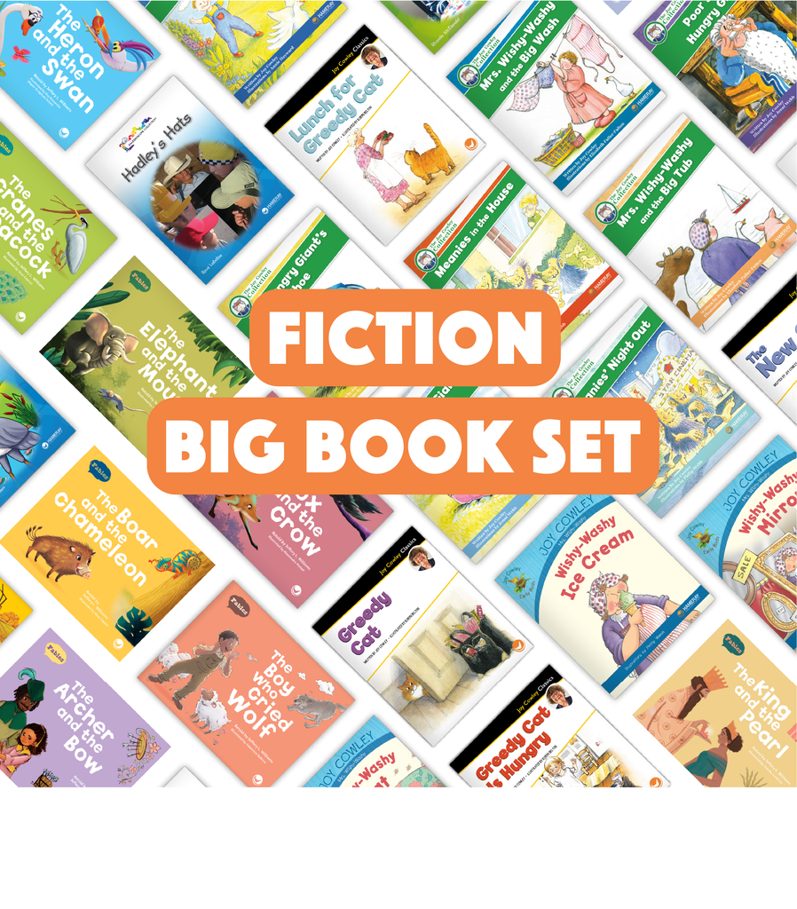 Fiction Big Book Set - Hameray Publishing