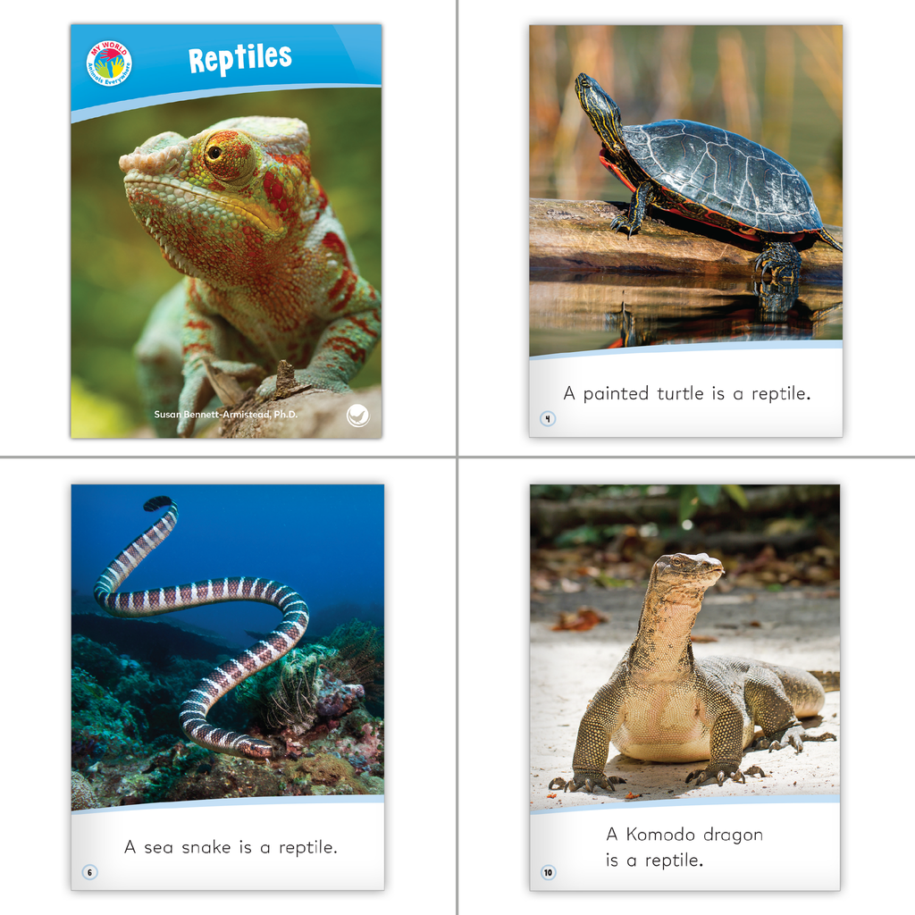 Kindergarten Nonfiction Library (6-Packs) - Hameray Publishing