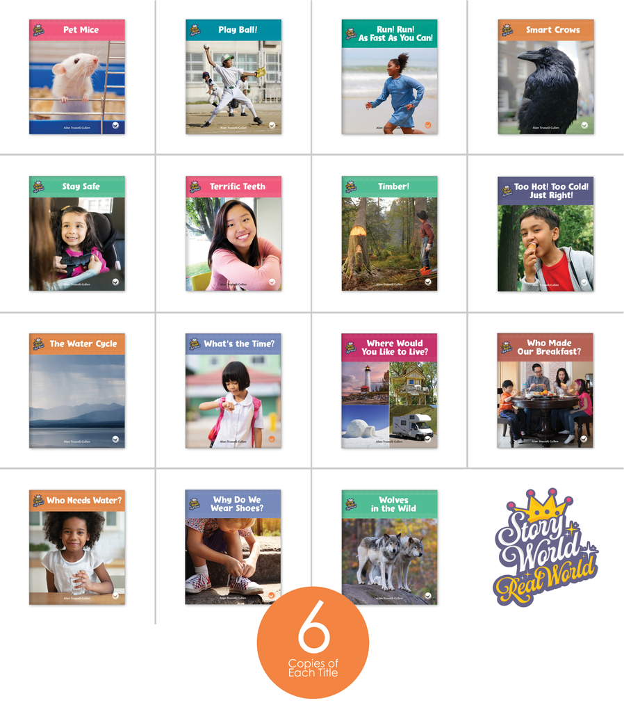 Real World Complete Set (6-Packs) - Hameray Publishing