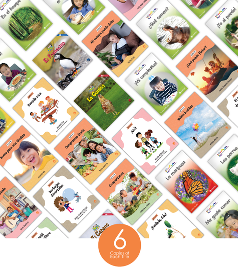 Spanish Level A Set (6-Packs) - Hameray Publishing