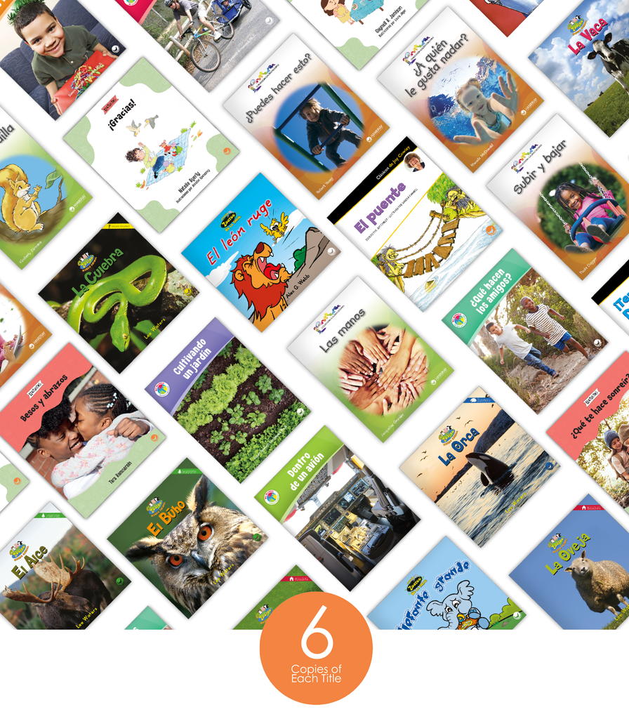 Spanish Level B Set (6-Packs) - Hameray Publishing