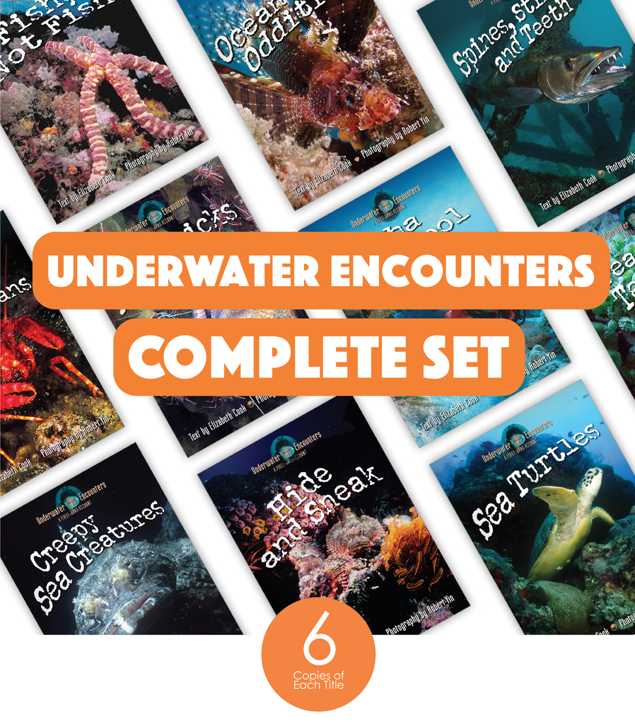 Underwater Encounters Complete Set (6-Packs) - Hameray Publishing