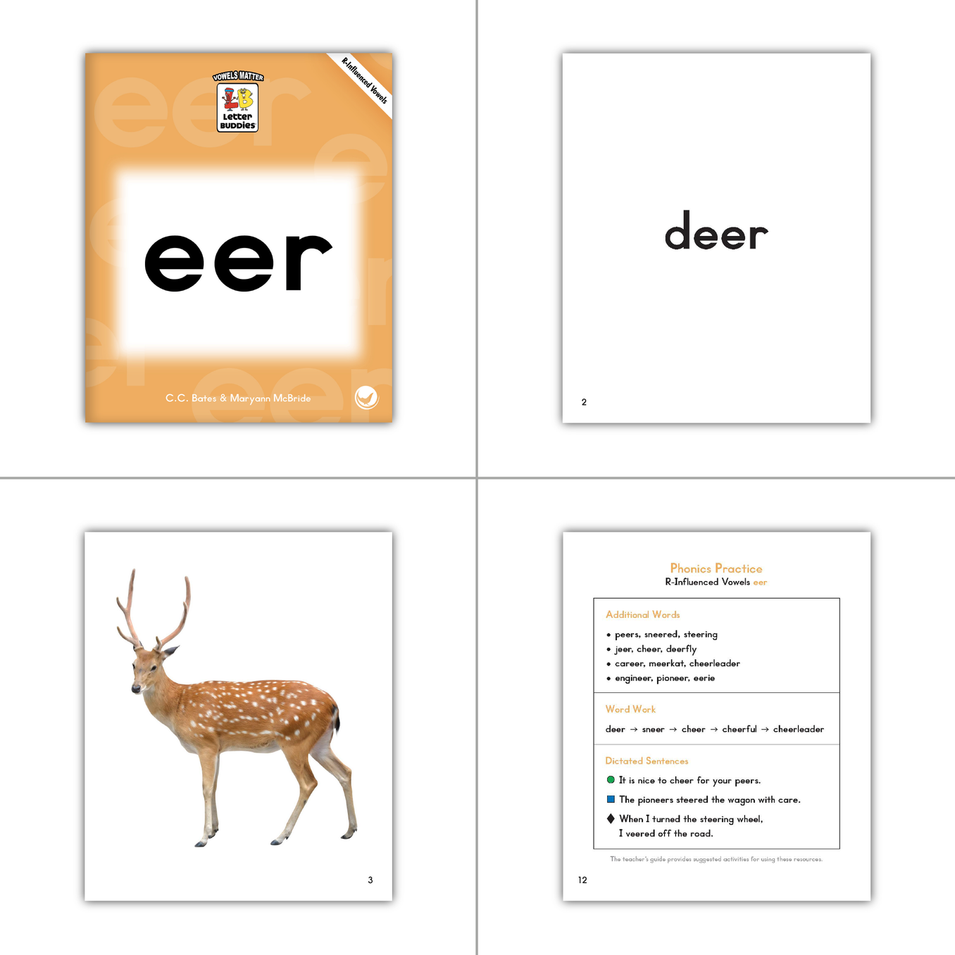 Letter Buddies Vowels Matter - Hameray Publishing