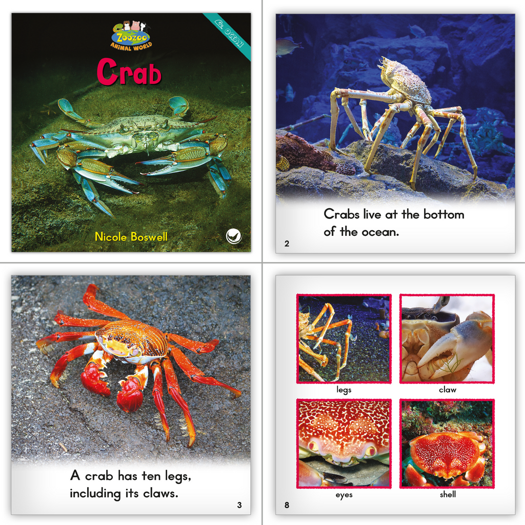 Zoozoo Animal World Big Book Combo Set - Hameray Publishing